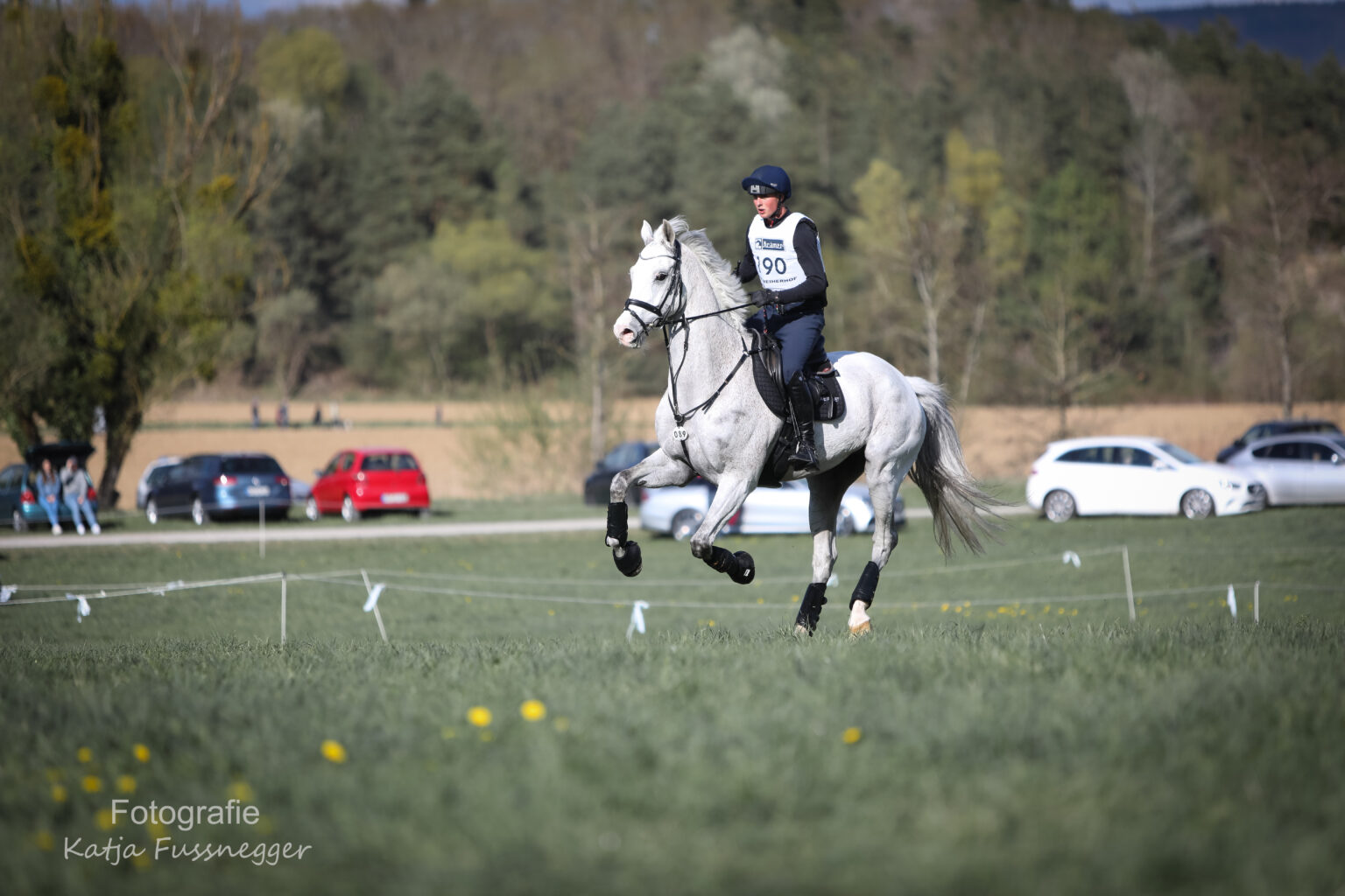 Sonderehrenpreis für das „Best turned out horse“ gewinnt Edith Fuchs ...